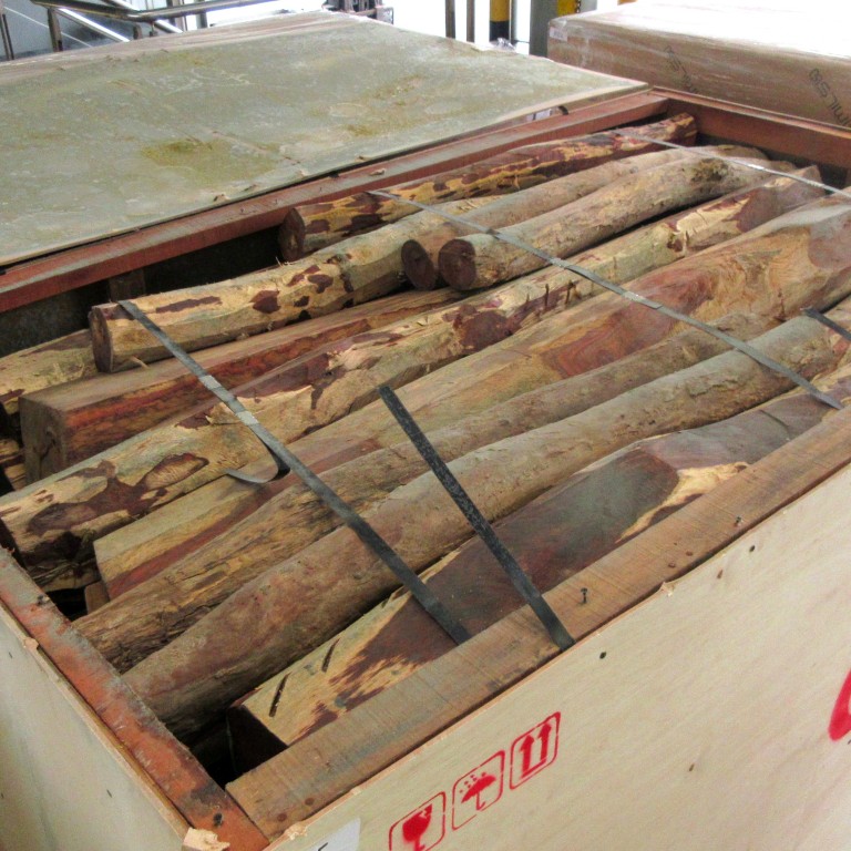 Hong Kong authorities seize more than 230 tonnes of endangered wood ...