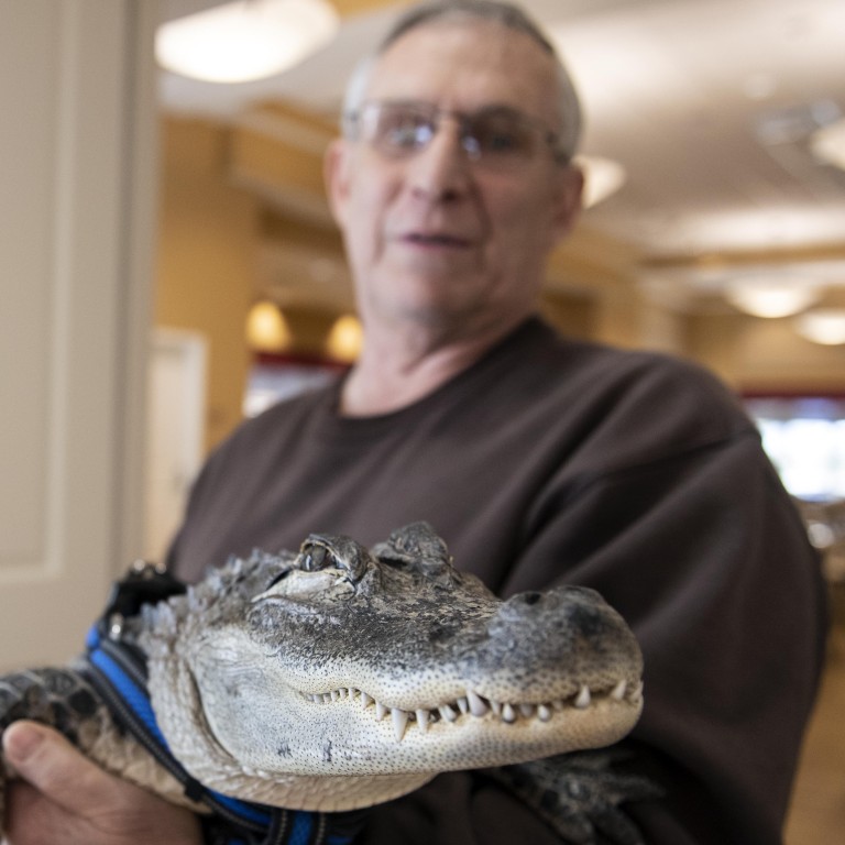How Wally the emotional support alligator helps this Pennsylvania man’s ...