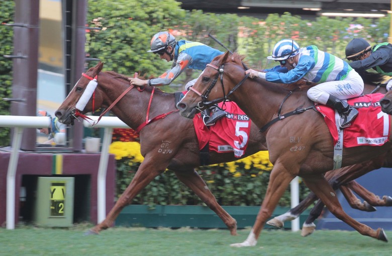 sun horse racing today