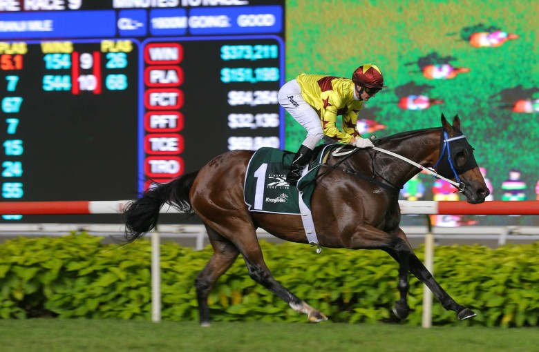 southern racecourses