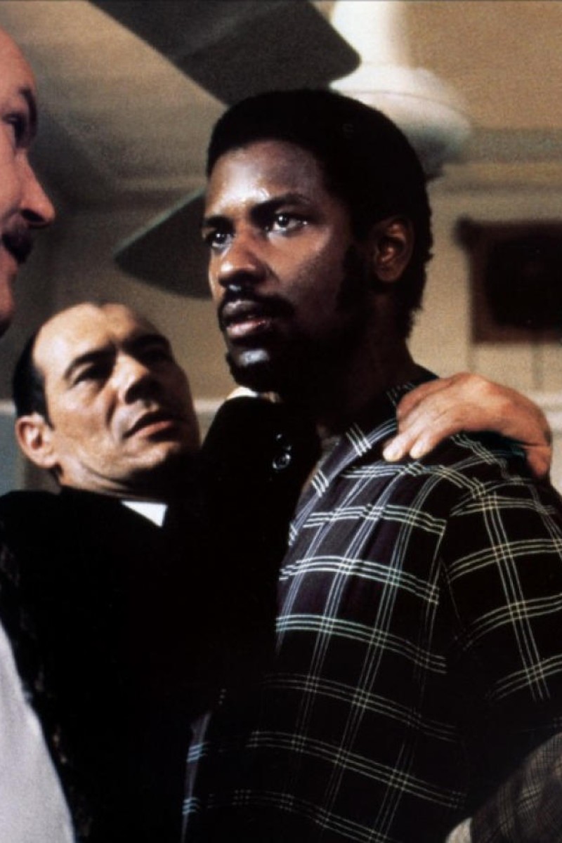 Donald Woods And Steve Biko
