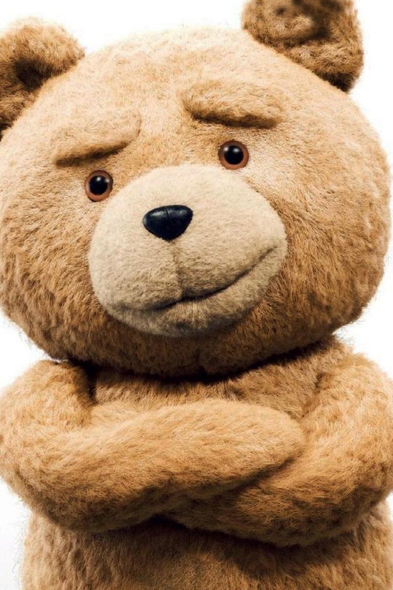 Ted The Bear Wallpaper