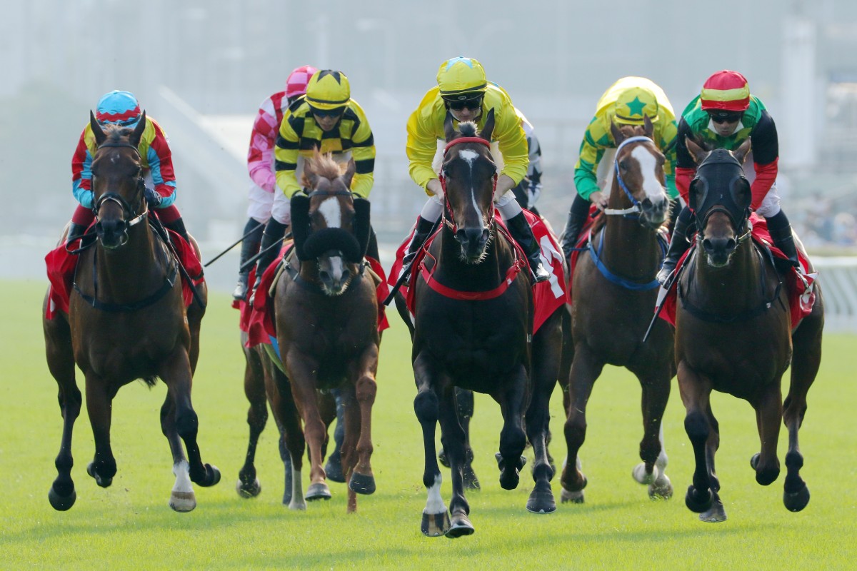 HKIR: Watch the last start of every Hong Kong Sprint runner, including ...