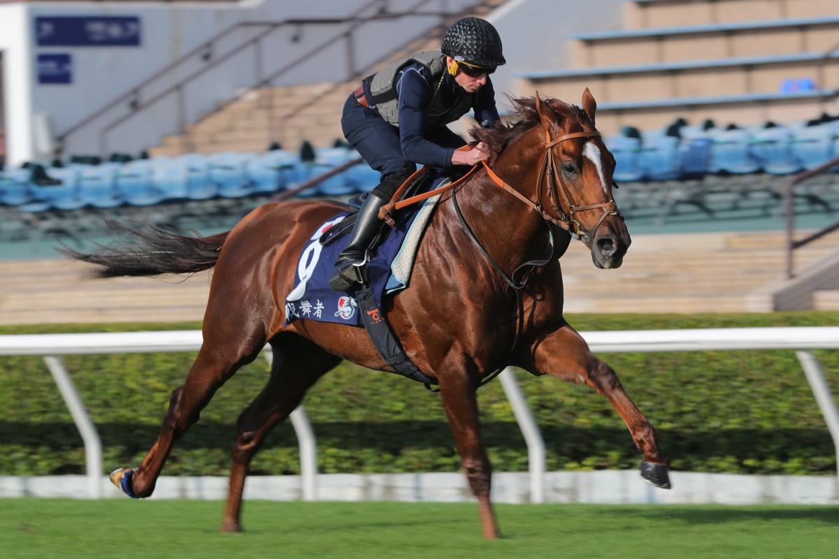 Race-eve scratching of Japanese visitor Salios reduces Hong Kong Mile ...