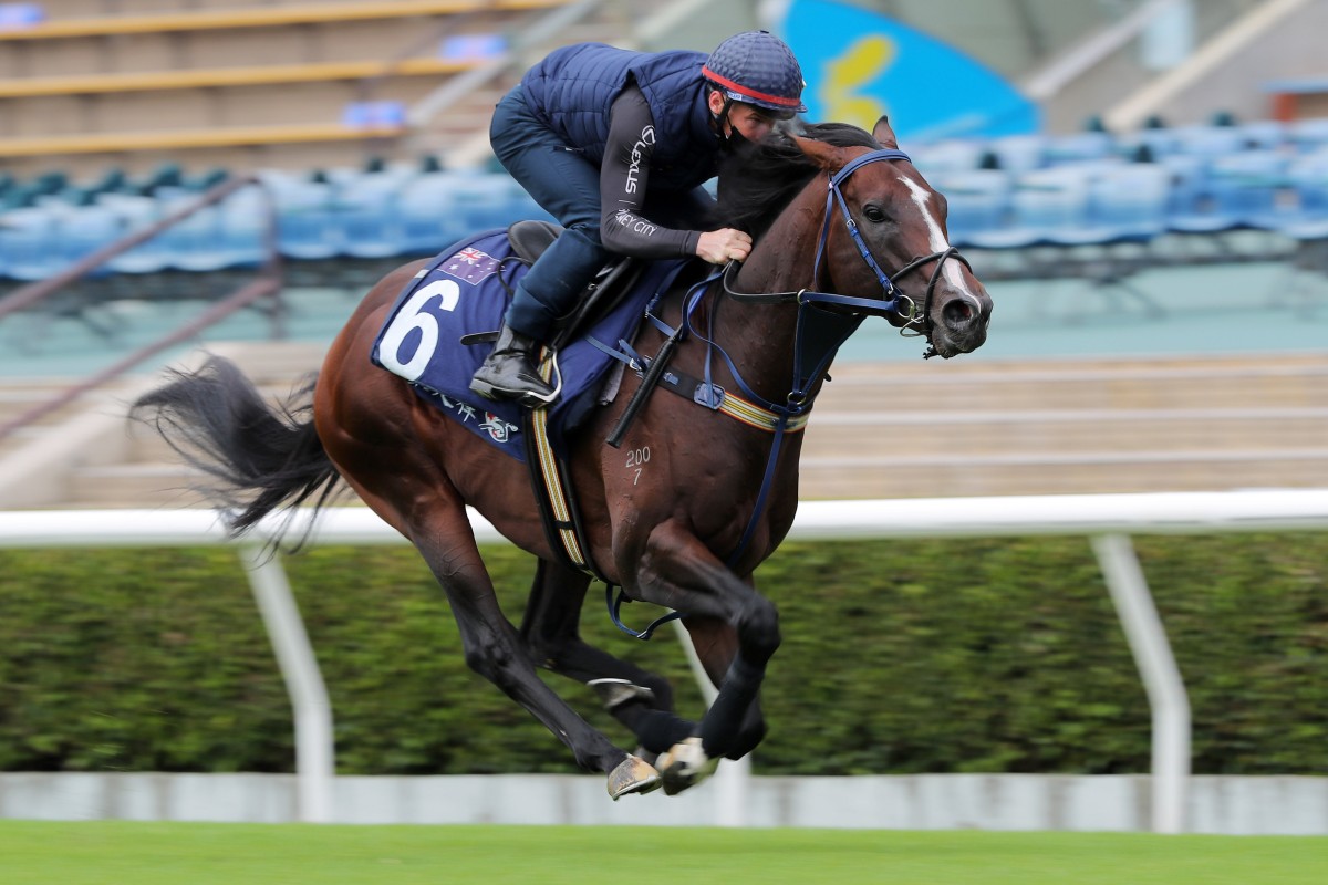 Annabel Neasham’s global trek from riding Mongol Derby winner to ...