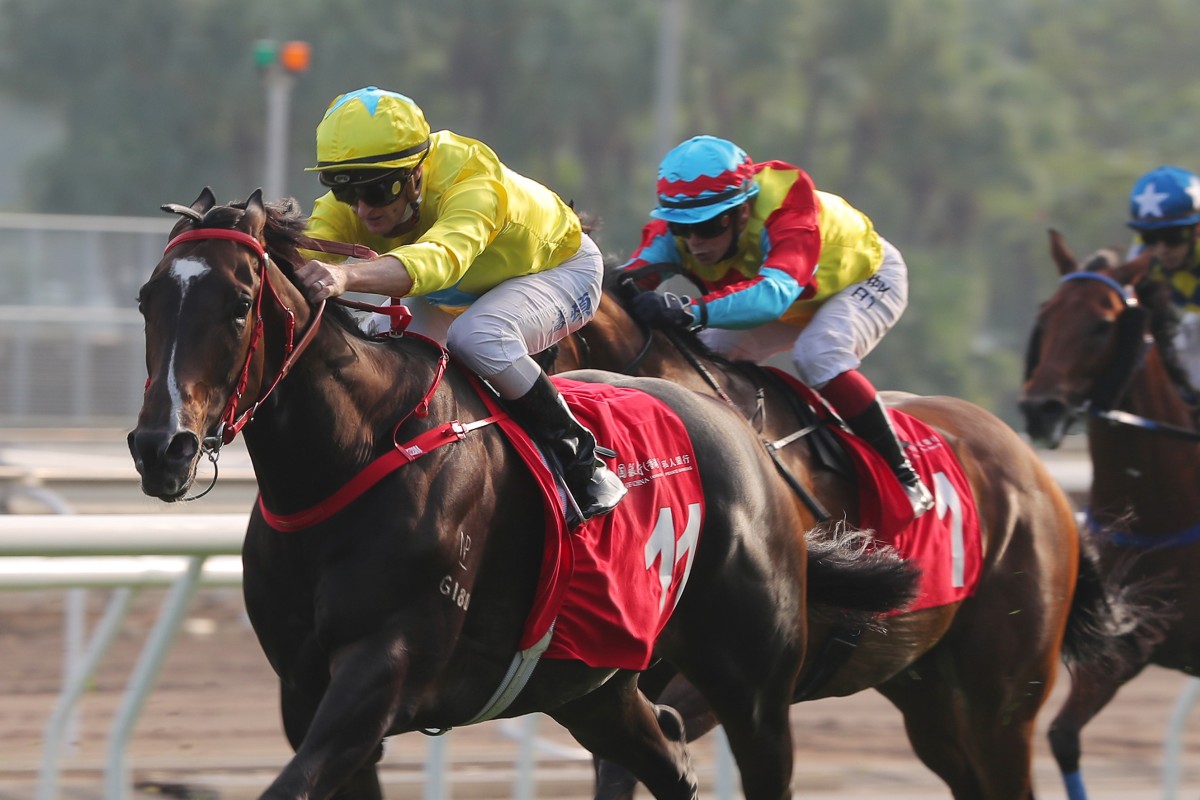 Barrier and burden against Lucky Sweynesse on comeback from Hong Kong ...