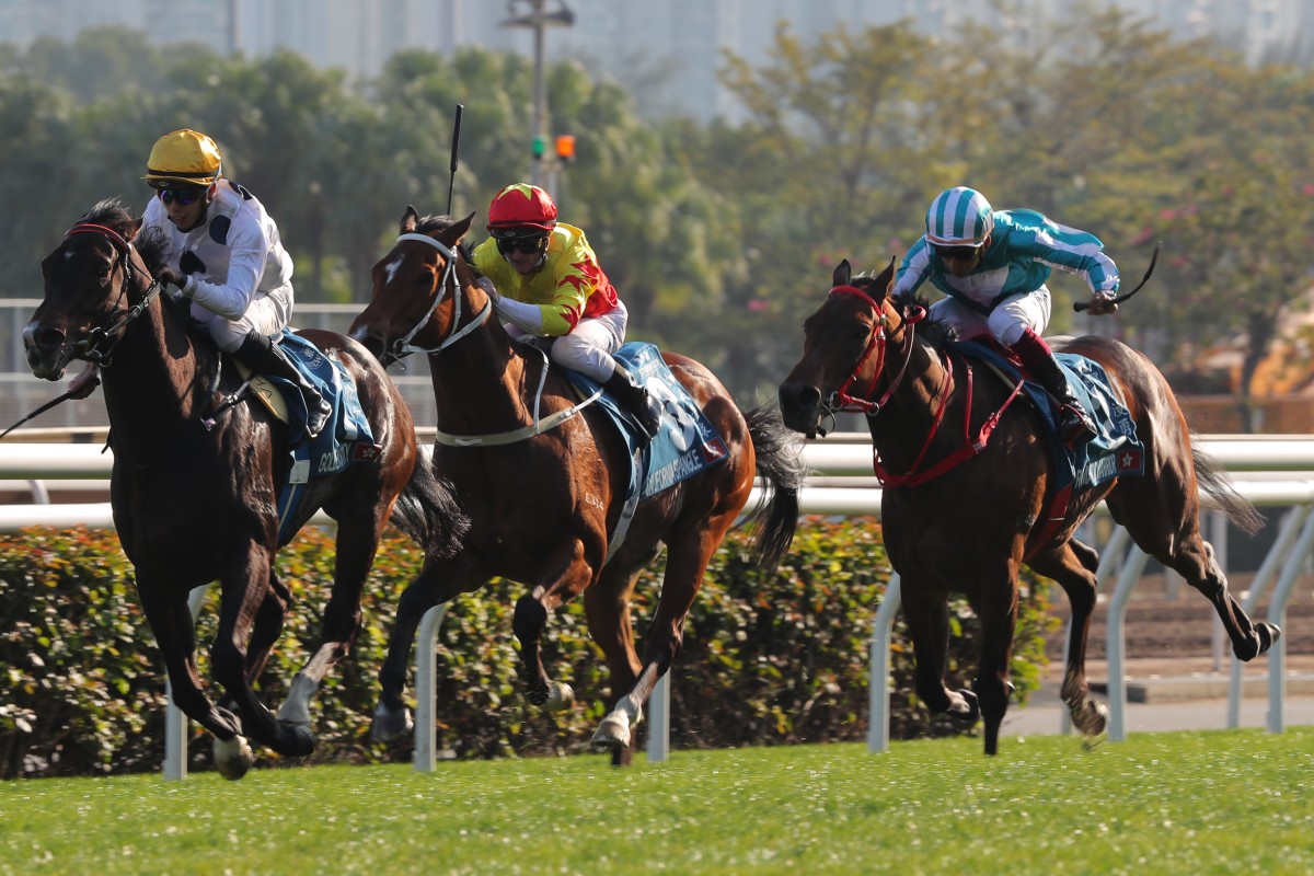 California Spangle to lead at all costs in Champions Mile: ‘Tony has ...