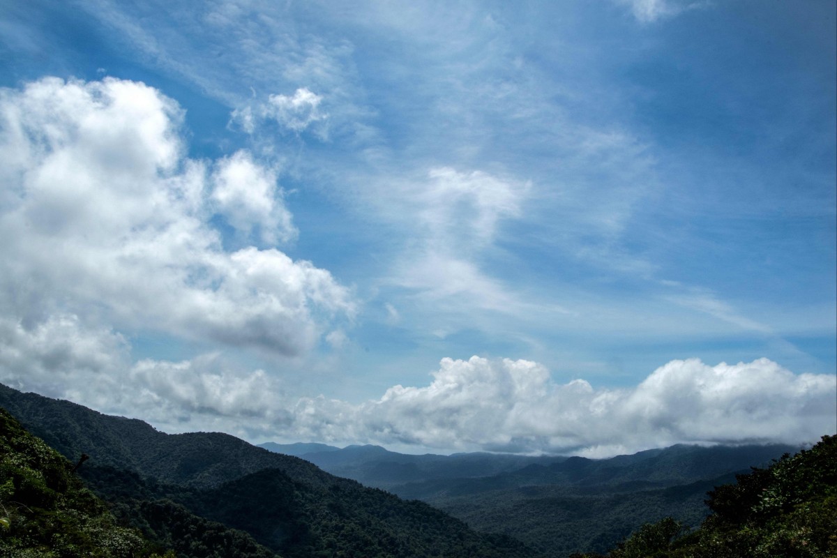 In Costa Rica, climate change threatens ‘cloud forest’ as rising ...