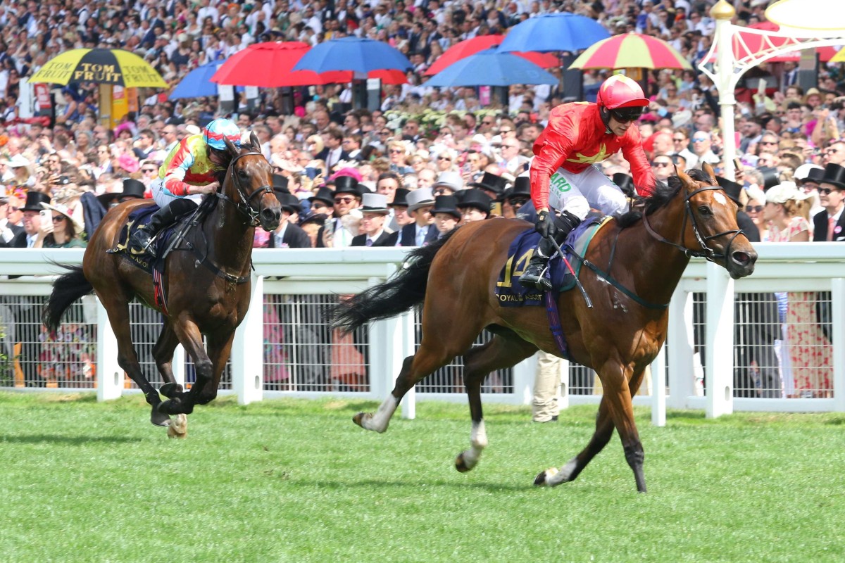 Britain’s Highfield Princess targets Lucky Sweynesse and place in ...