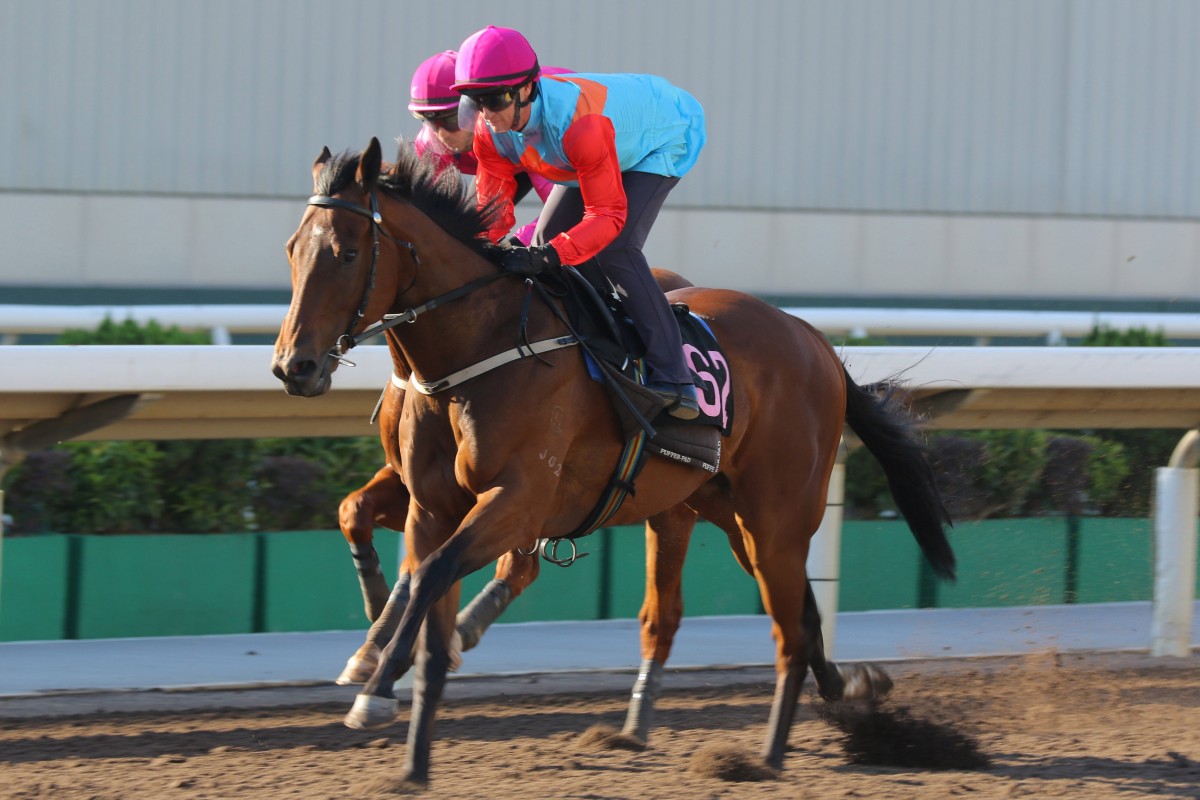 Can debutant Ka Ying Rising add excitement to dreary pre-HKIR Sha Tin ...