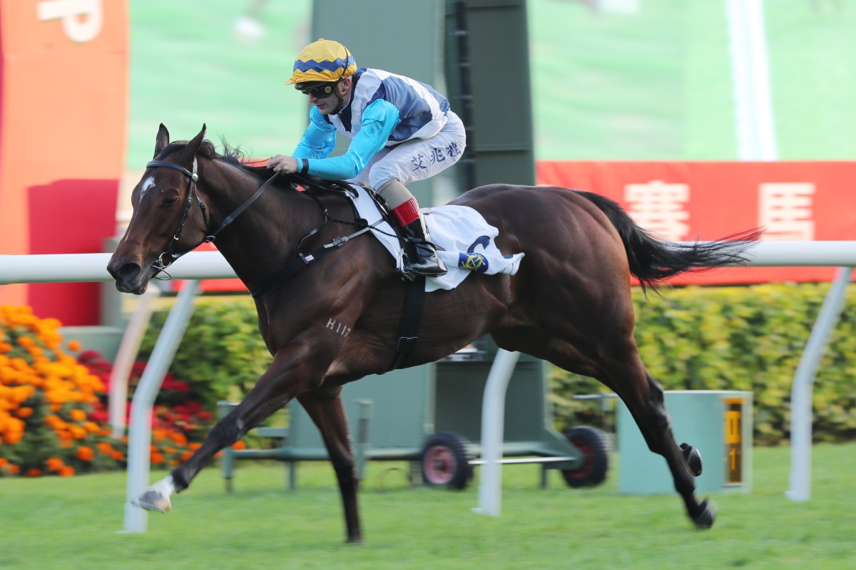 Pierre Ng views Wednesday as perfect time for Drombeg to fly Banner at ...