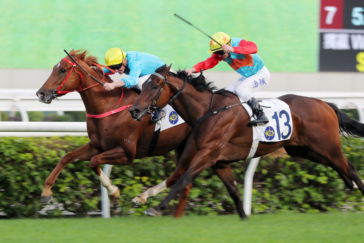 Zac Purton and James McDonald leave Hong Kong on a high after ...