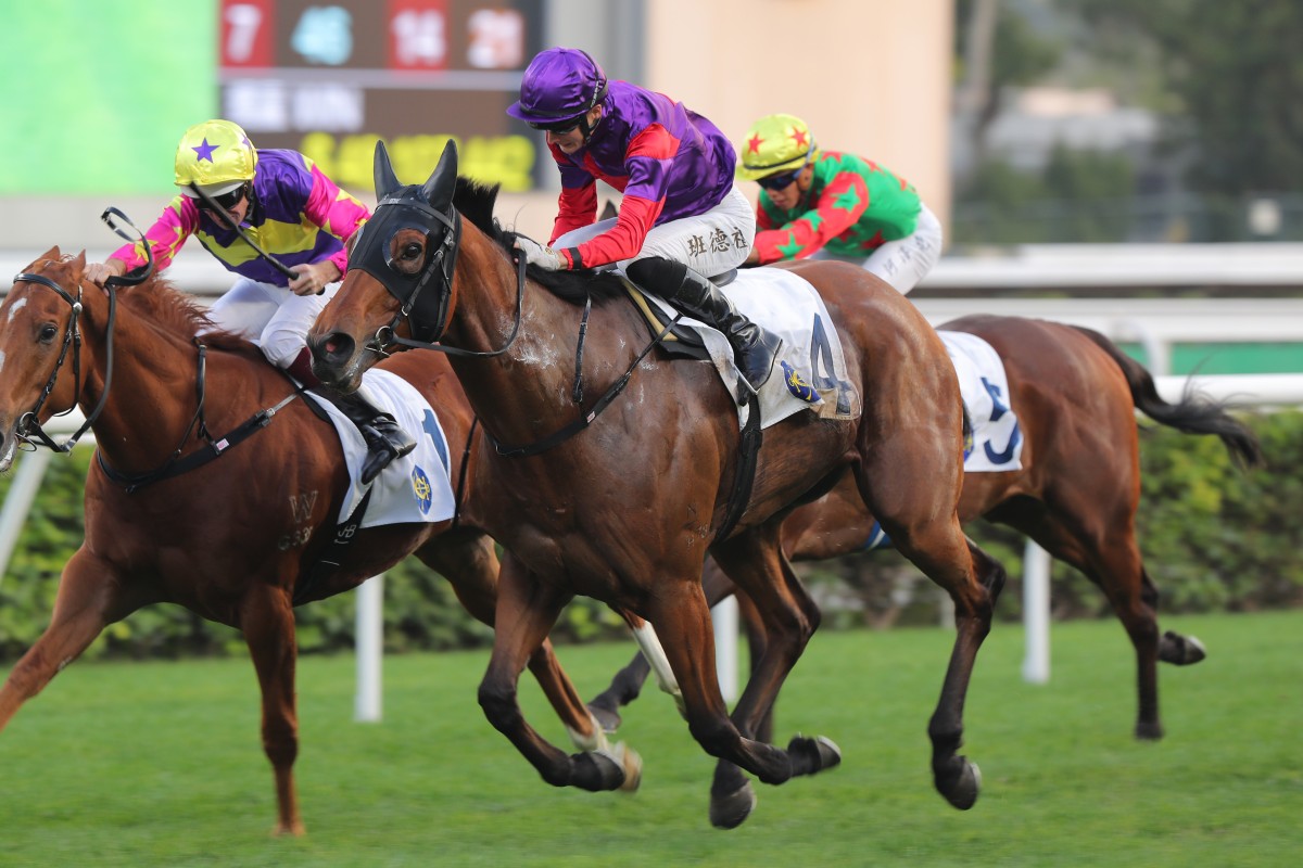 Harry Bentley aims to continue top form on reuniting with Blue Marlin ...