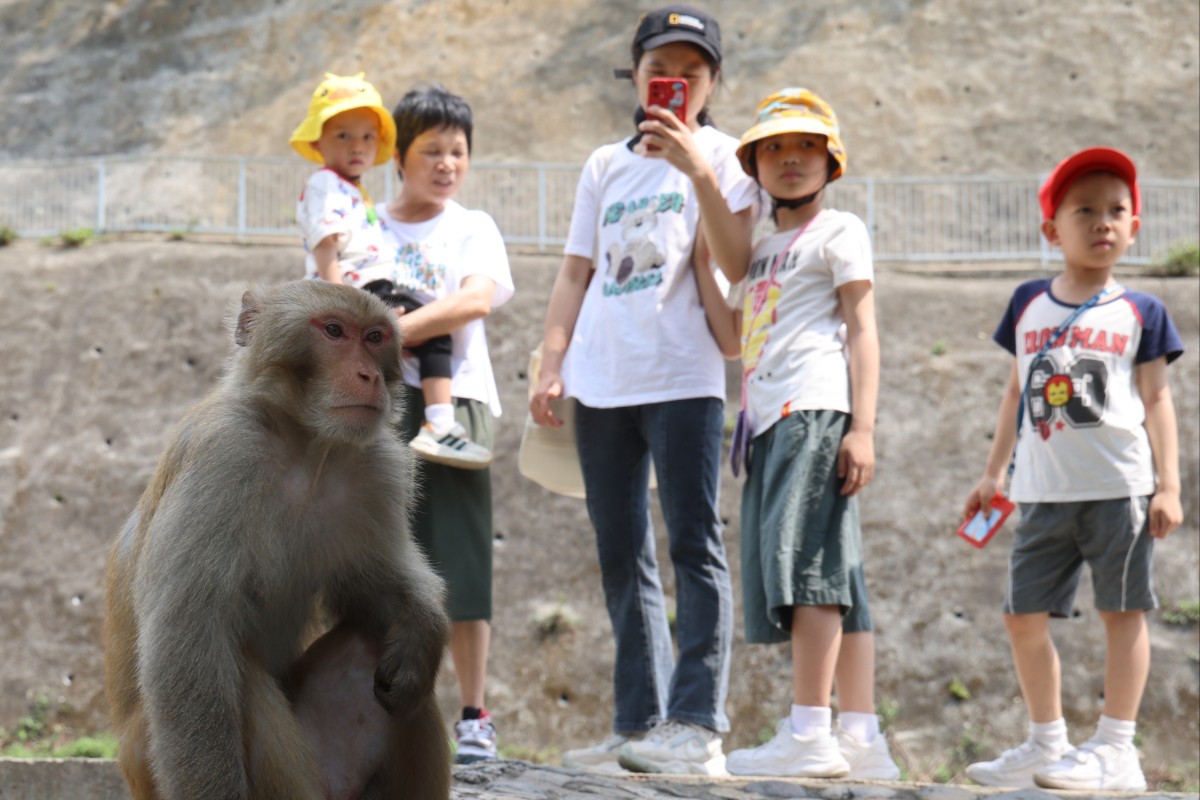 Hong Kong reports first human case of B virus; here’s what you should ...