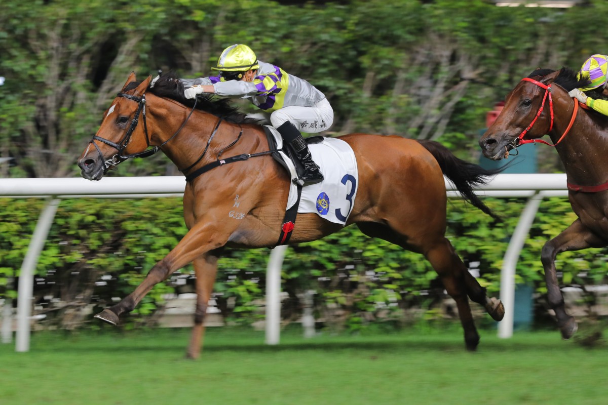 Francis Lui poised to take trainers’ championship lead with Yellowfin ...