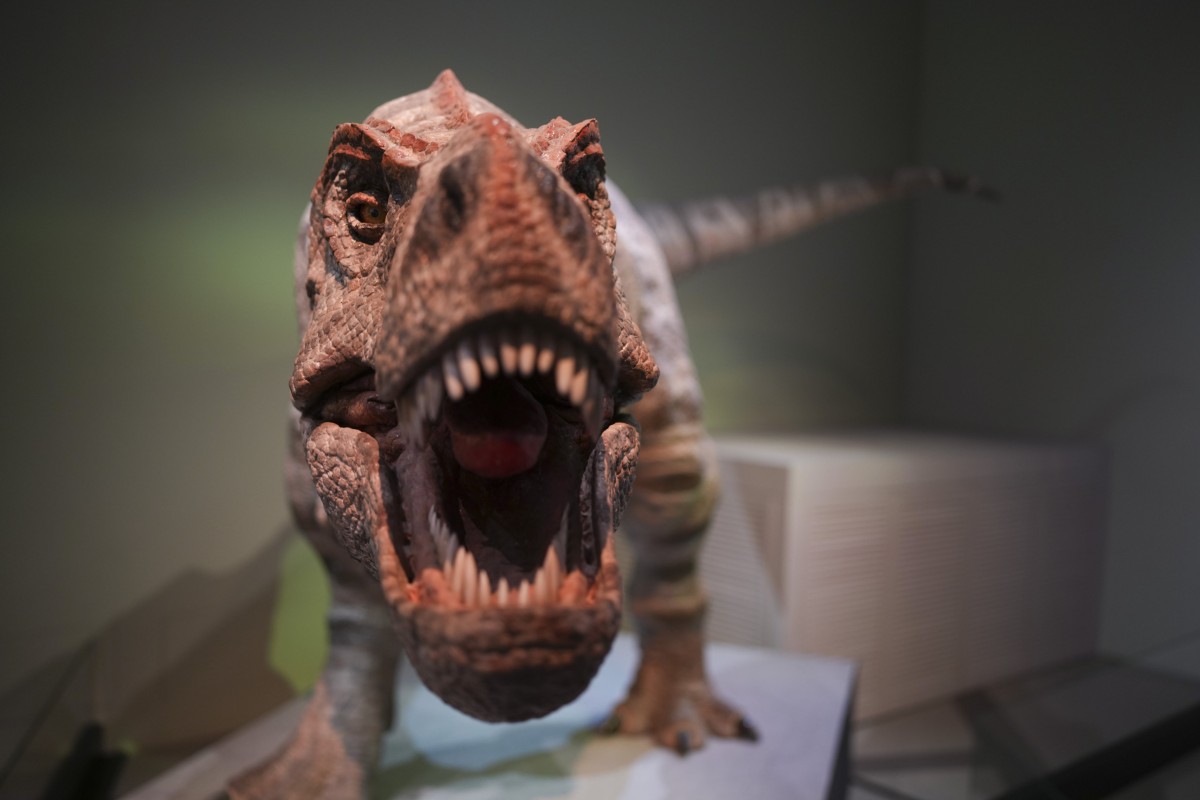 From dinosaurs to megafauna: the evolutionary journey of prehistoric ...