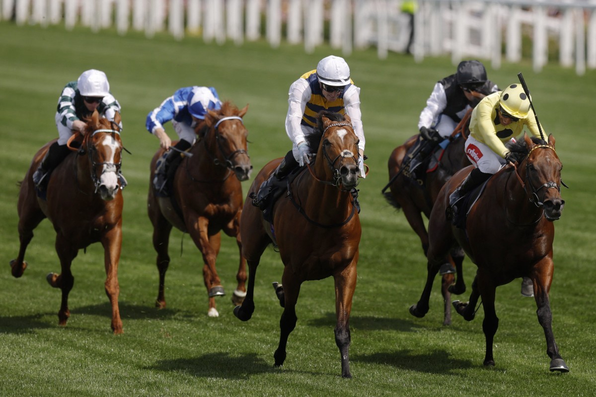 Docklands delivers for Harry Eustace as superstar Field Of Gold dazzles ...