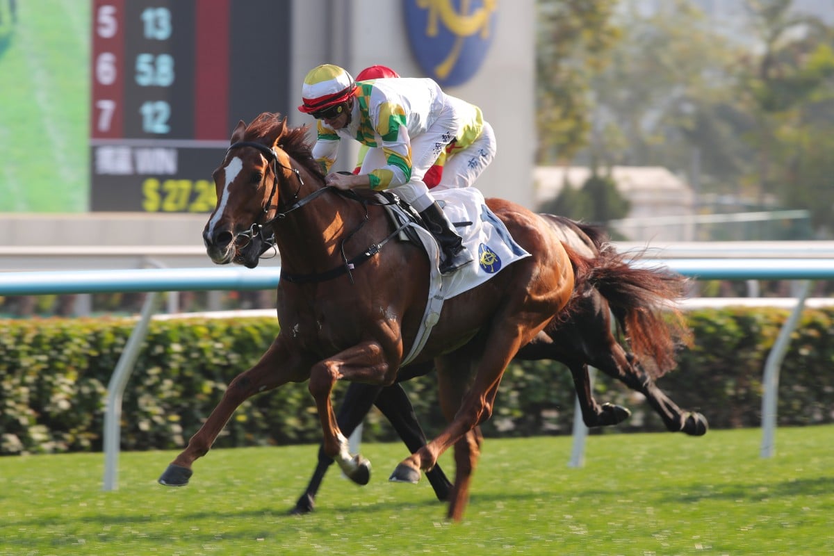 Sagacious Life one of two Classic Mile options for Zac Purton after ...