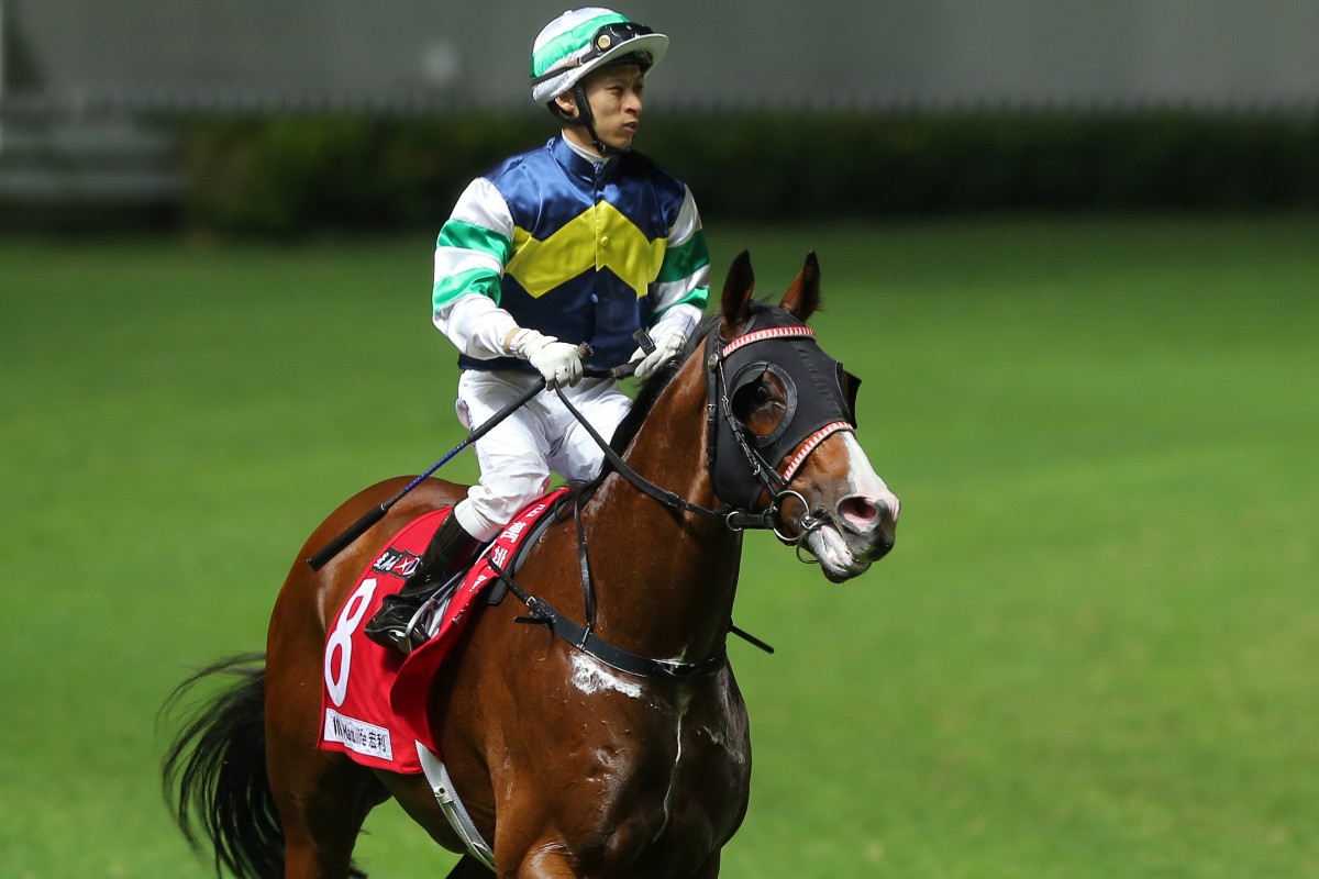 Matthew Chadwick tempers expectations for Gentle Breeze after whack ...