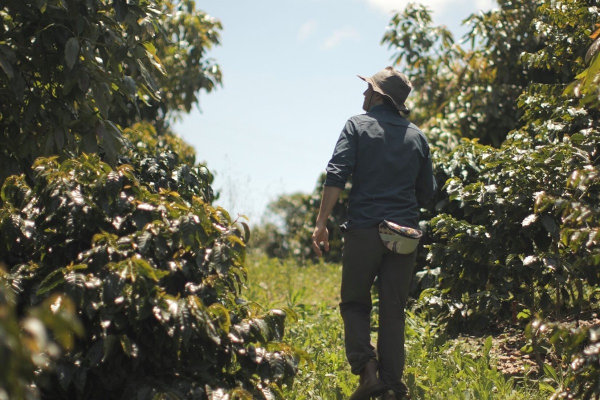 ‘Kiss the Ground’ film review: Soil is the hero in new Netflix ...