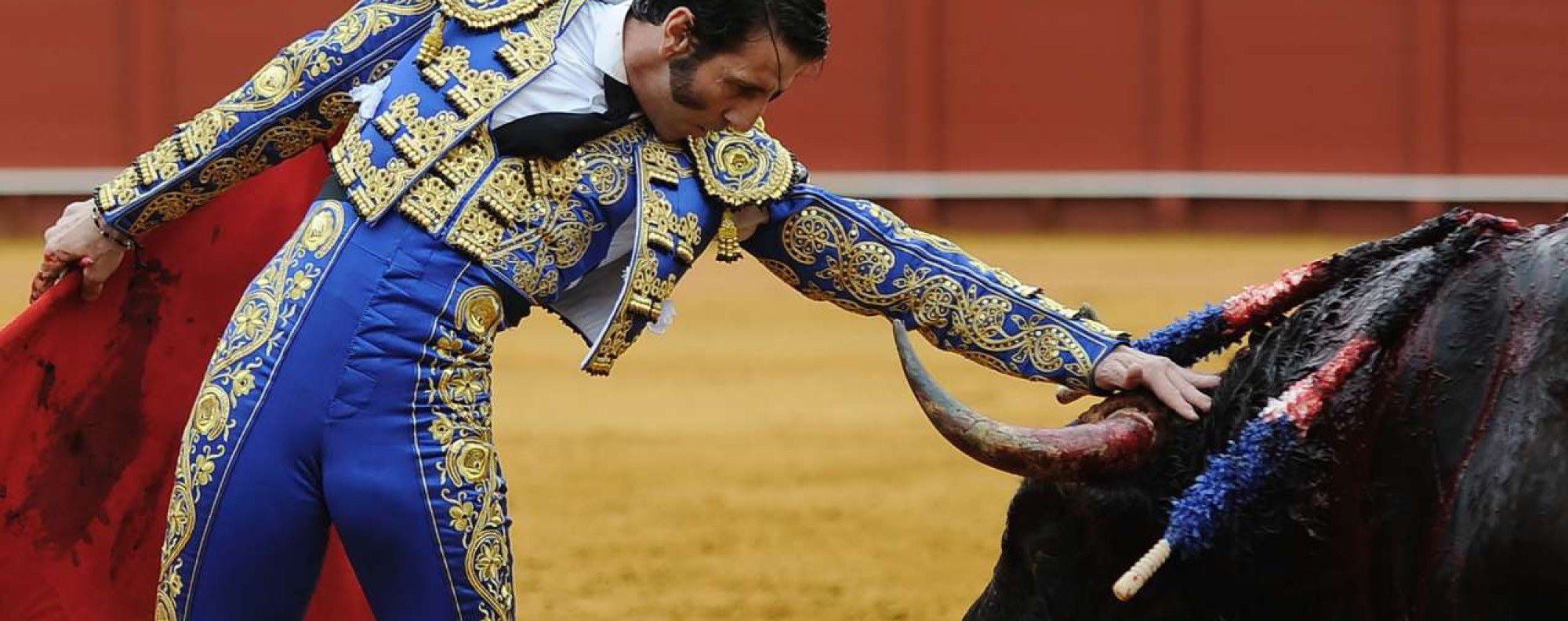 bullfighting techniques