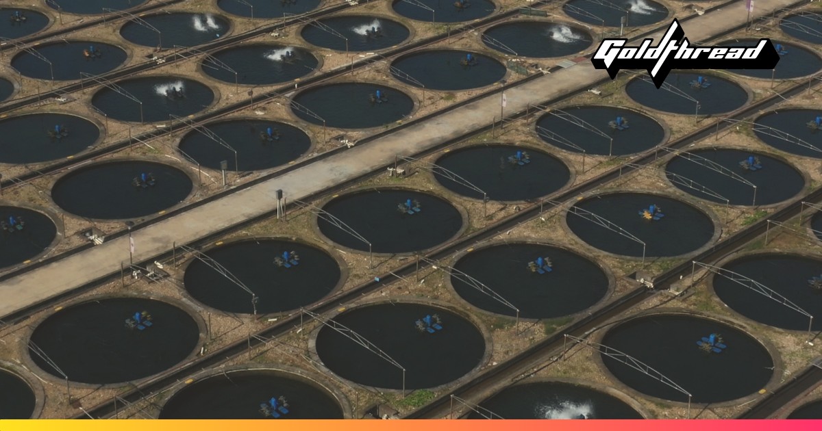 Inside the largest caviar factory in the world | Goldthread