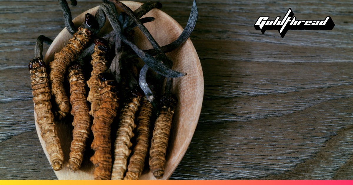 Behind the craze for Chinese medicine’s ‘magic mushroom’ | Goldthread