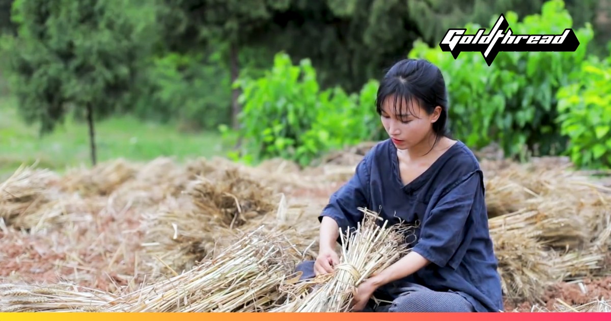 Our best adventures of 2019: Meeting Li Ziqi, picking wild tea, and ...