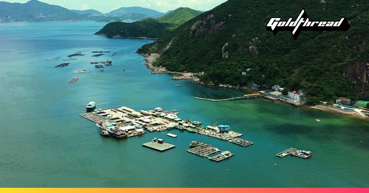 The last of Hong Kong’s fish farms | Goldthread