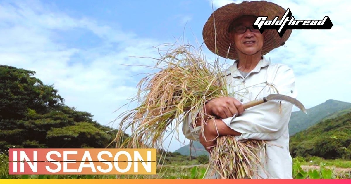 He Left Everything Behind to Farm in the Middle of Nowhere | Goldthread