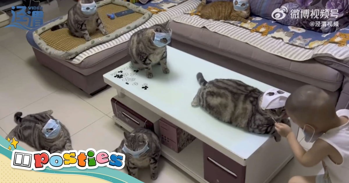 Cat Mouth Mask Kpop Smile