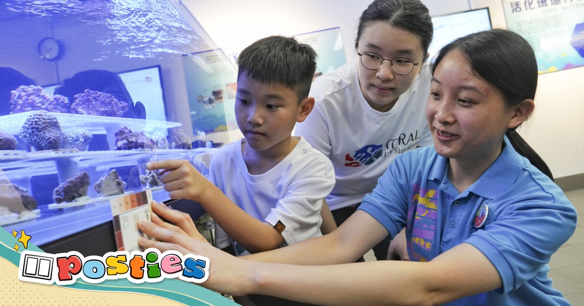 Ocean Park hopes to rebuild coral reefs in Deep Water Bay | South China ...