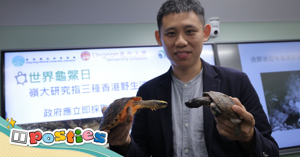 HK turtles need our help | South China Morning Post
