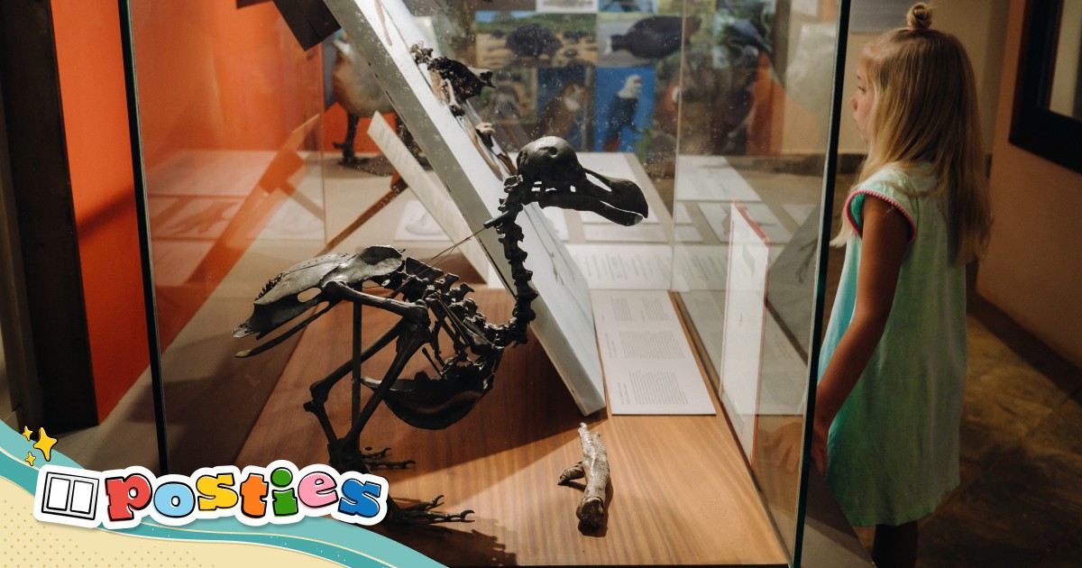 Dodo bird shows how humans cause animal extinction | South China ...