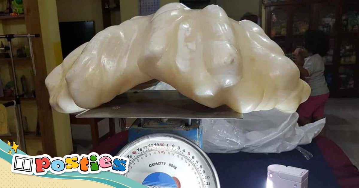 The world s largest pearl fantastical tale of an 80 year hoax and the men and women who lost millions to its dubious charms South China Morning Post