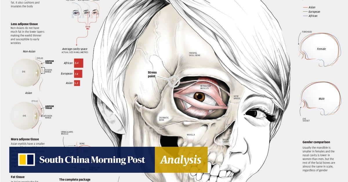 different asian faces