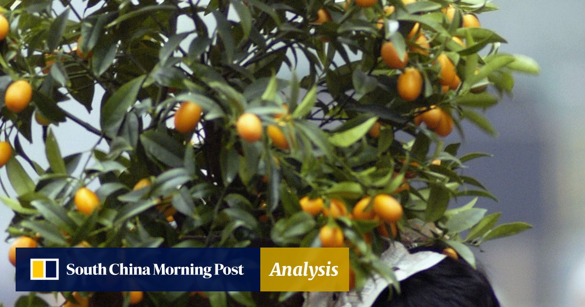 mandarin fruit origin