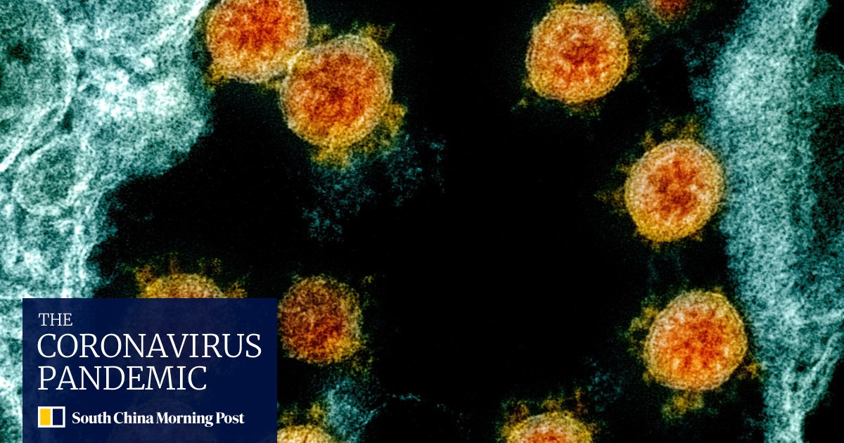 Coronavirus: scientists say more genomic surveillance is needed to ...