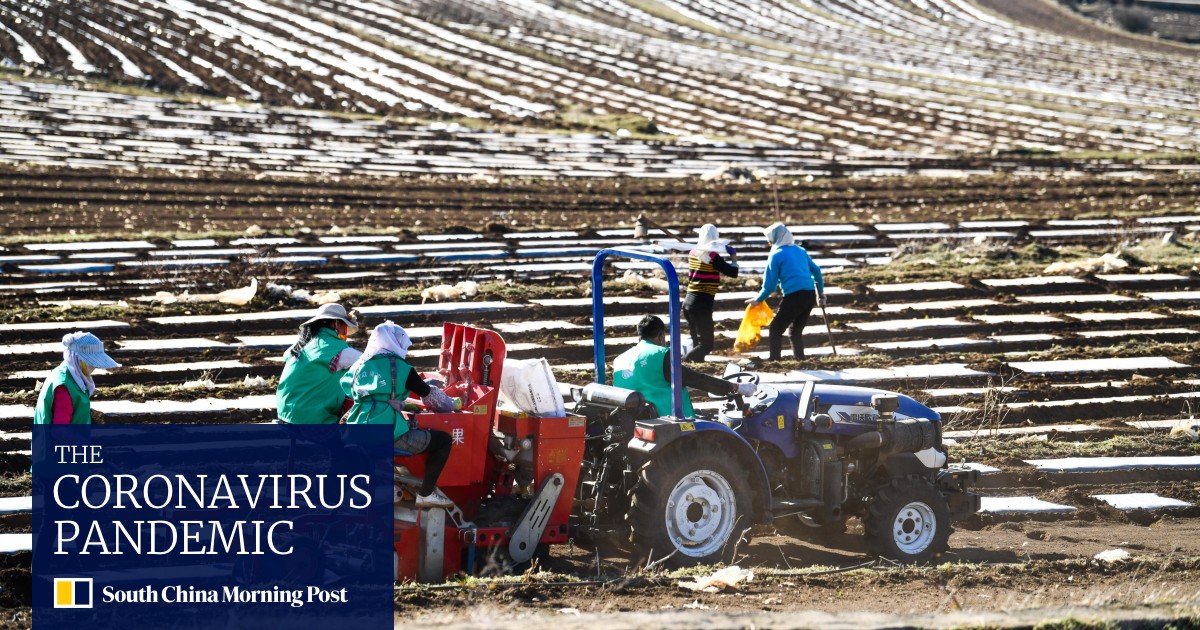 Coronavirus: China pushes local health authorities to keep rural ...