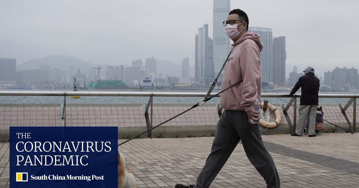 Coronavirus crisis in Hong Kong: if pets can be infected, the people ...