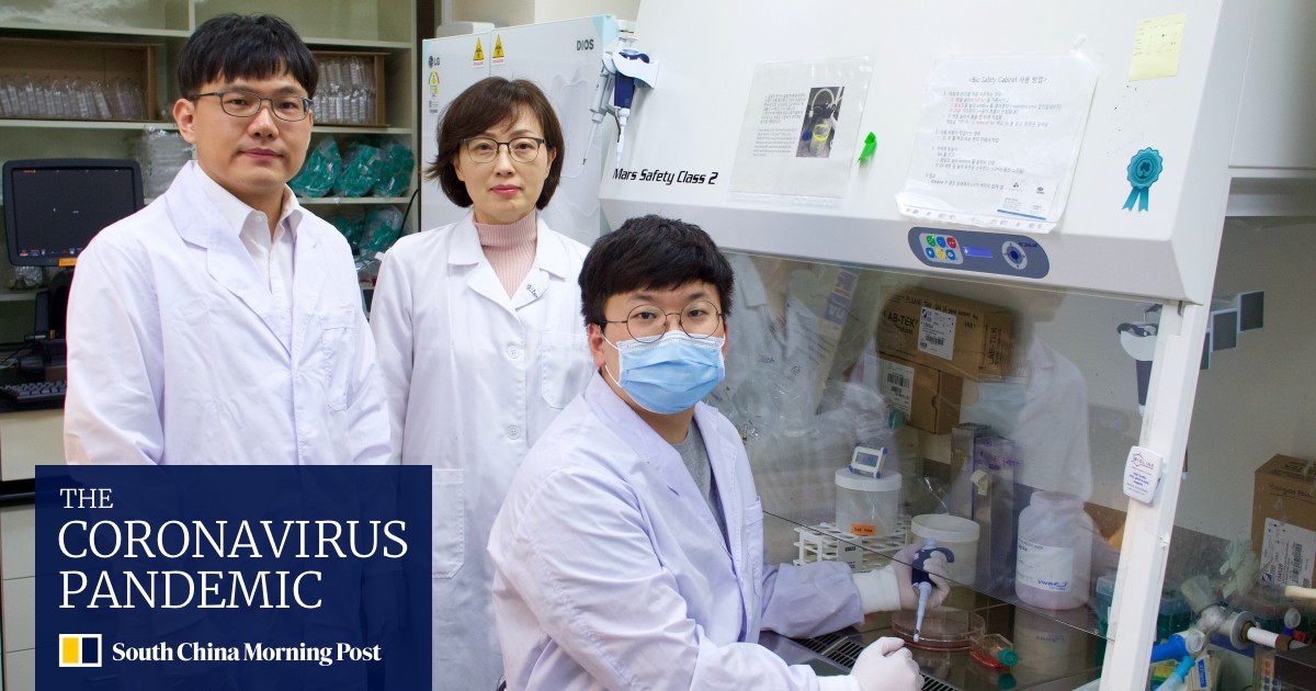 South Korean scientists map coronavirus genome, paving way for vaccine ...