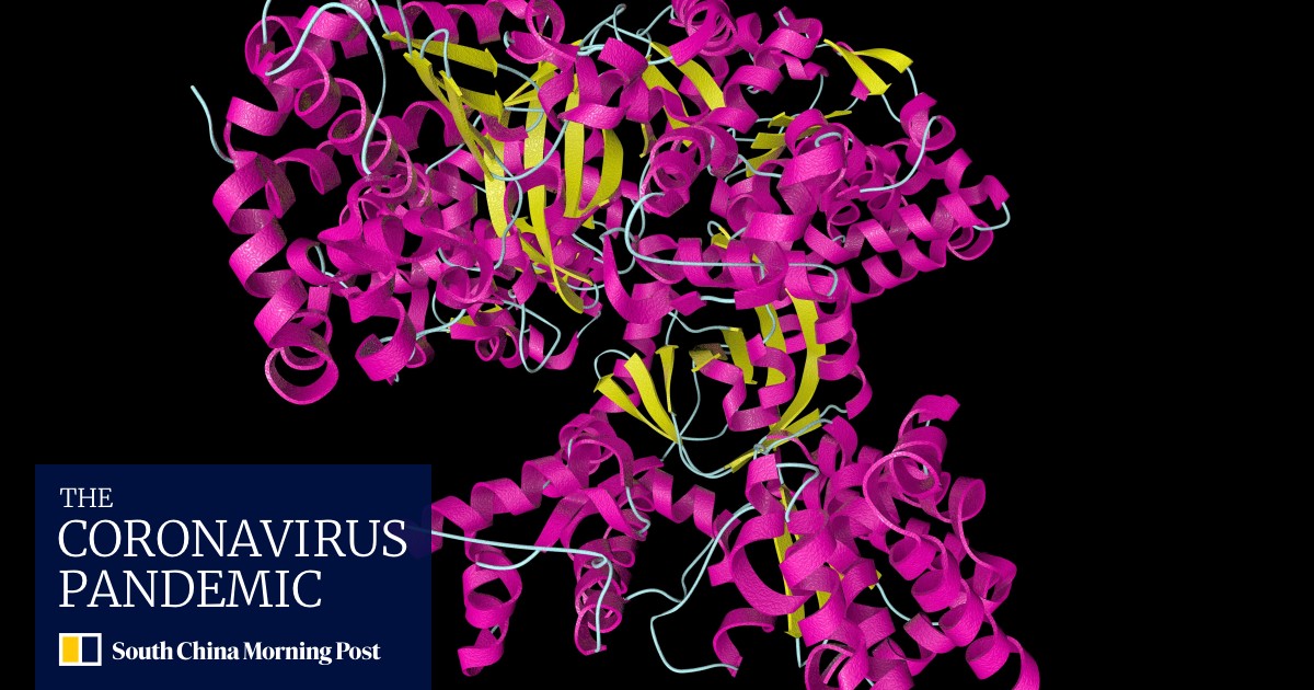 ‘Danger is real’: why viruses long thought extinct are re-emerging ...