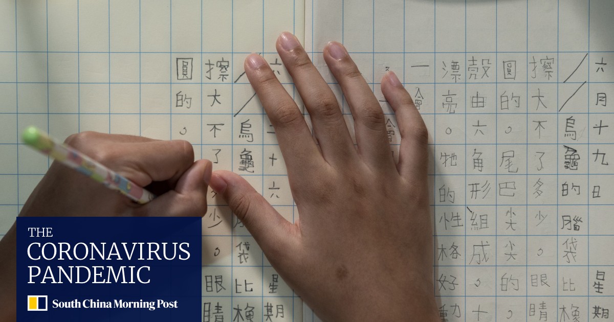 Academic Marginalisation Of Hong Kongs Ethnic Minority Groups
