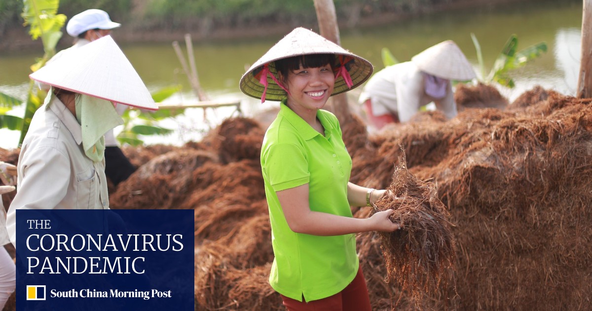 Young Asian entrepreneurs embrace green-collar lives as technology ...