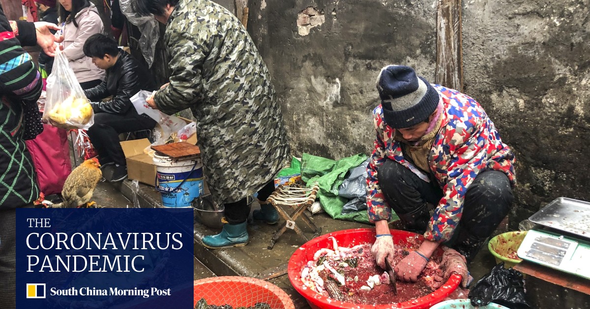 What can stop people eating wild animals? A new study looks for answers ...