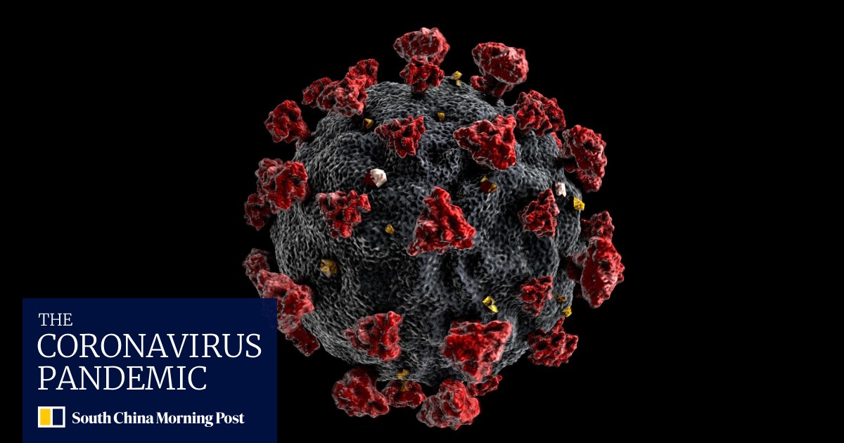 Coronavirus: US investigation leaves open possibility Covid-19 resulted ...