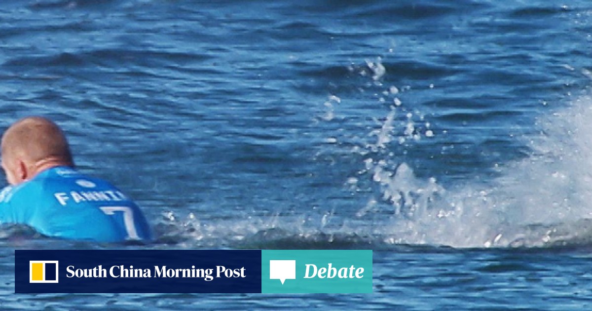 shark attack surfer competition