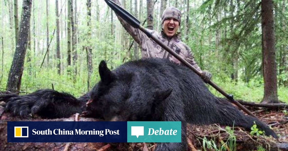 will a bow kill a bear