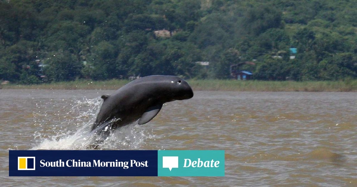 irrawaddy dolphin upsc
