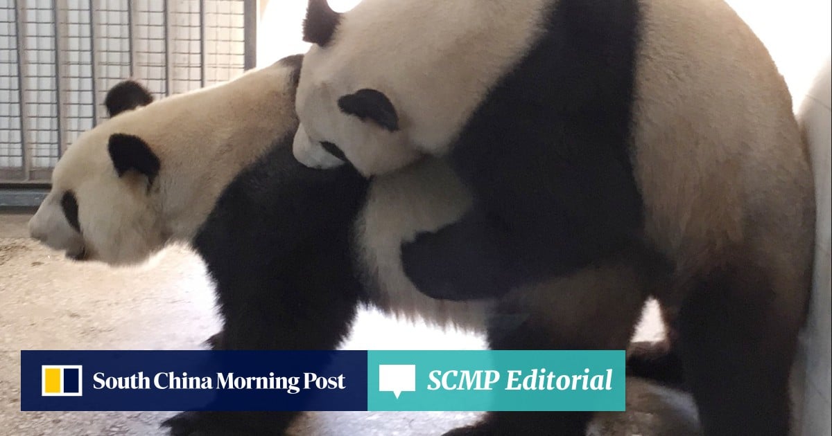 pandas mating problem